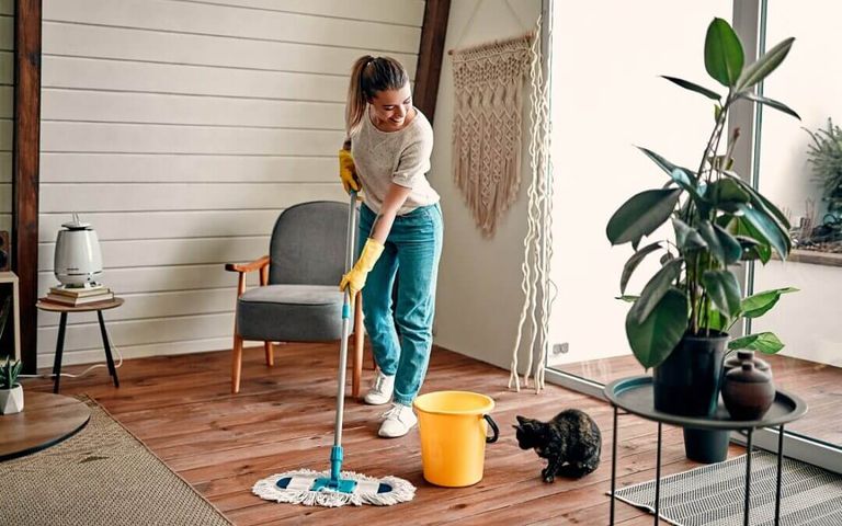 The Ultimate Ceramic Cleaning Guide - Home Plus Cleaning