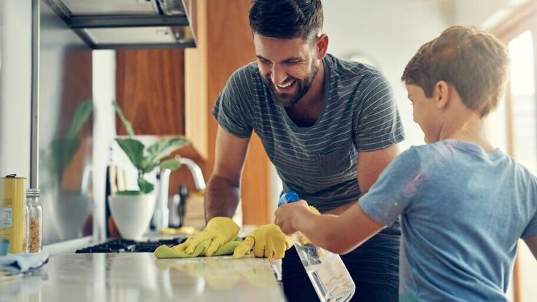 Top 10 Home Cleaning Facts and Myths - Home Plus Cleaning